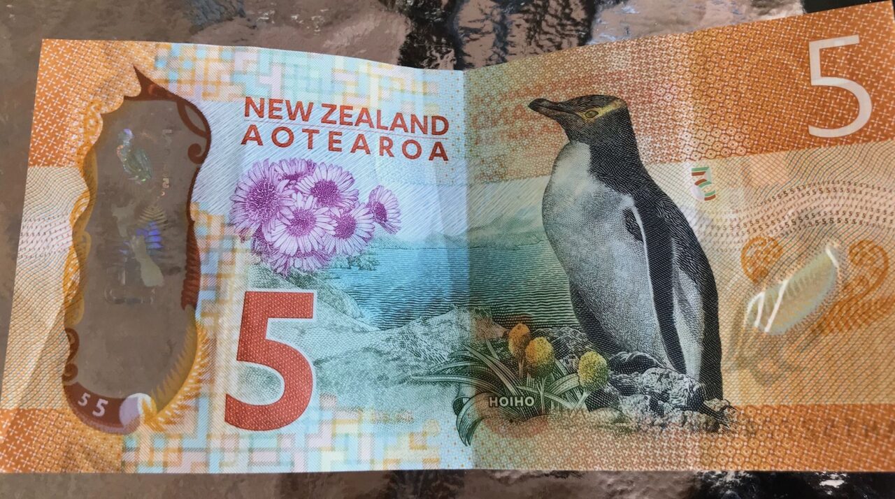 How to Find Penguins in New Zealand | AppMyHome